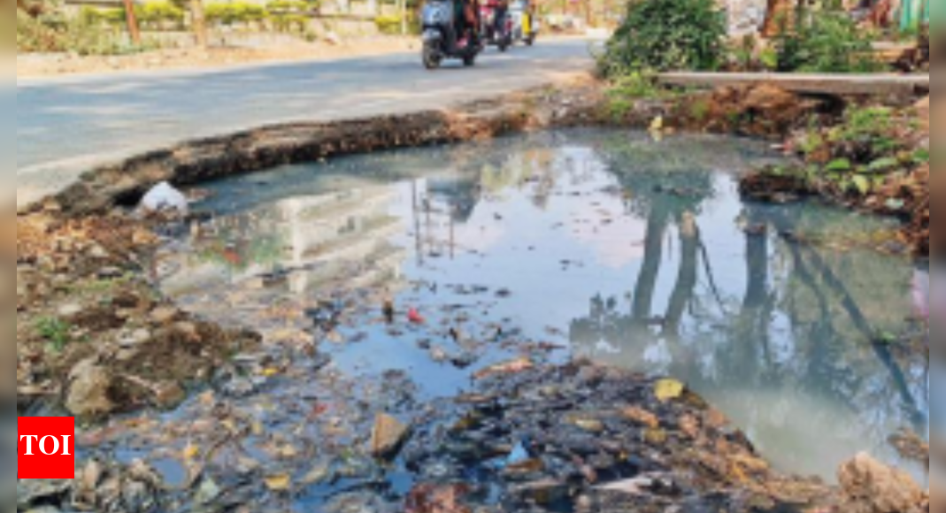 ‘tree Stumps Left Unattended After Felling A Big Problem’ | Dehradun ...
