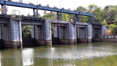 With warmer days, water levels at Opa and Selaulim drop | Goa News ...