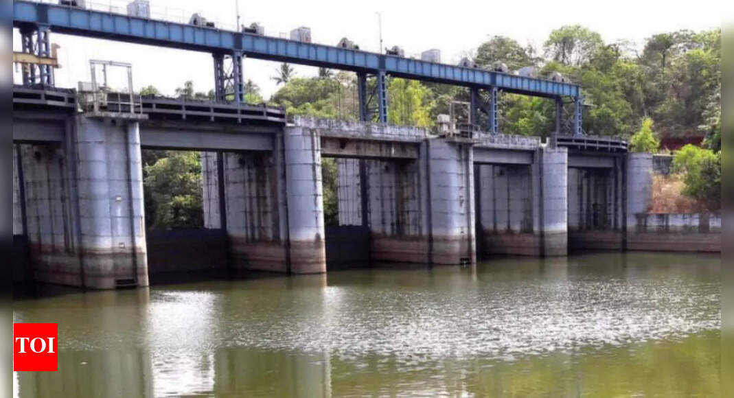 With warmer days, water levels at Opa and Selaulim drop | Goa News ...