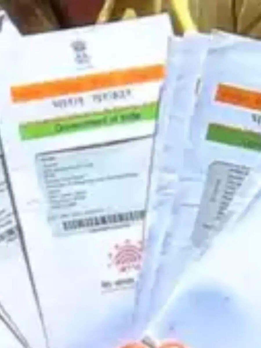 Uidai Makes Aadhaar Document Updation Free For 3 Months Details