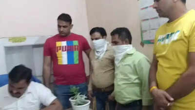 Haryana ACB nabs two employees of food civil supply department for corruption | Chandigarh News ...