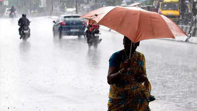 Parts of Andhra Pradesh witness rain | Visakhapatnam News - Times of India