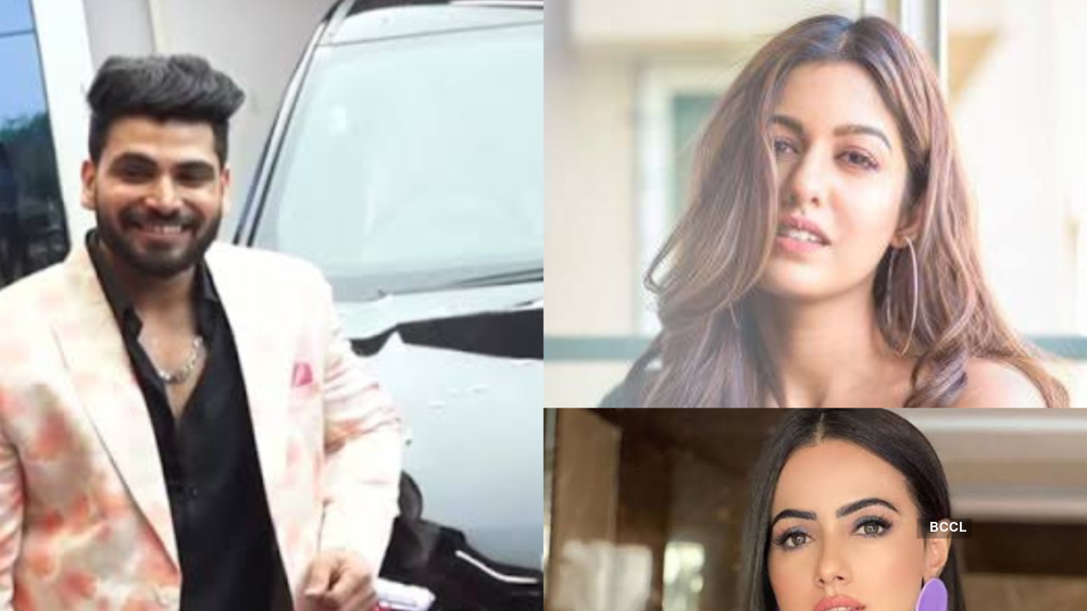 From Shiv Thakare buying his first car to Ishita Dutta and Sana Khan announcing their ...