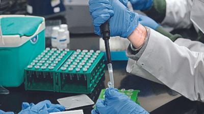 'Set up genome sequencing facilities for H3N2 virus in Gujarat ...