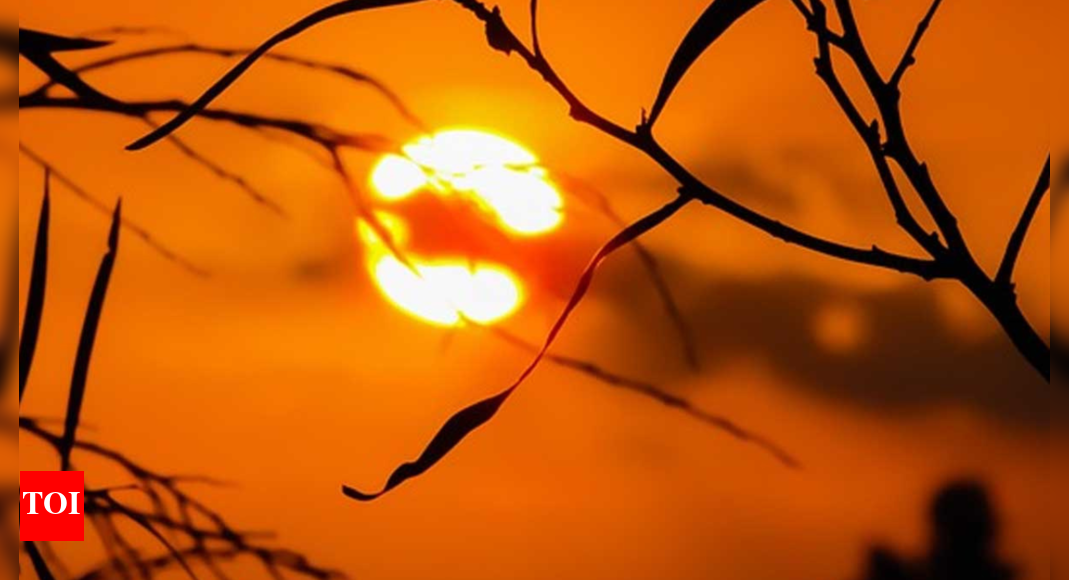 Sudden temperature drop in Pune, high humidity perfect recipe for ...