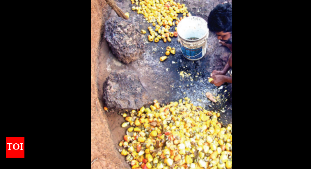 In a first, state moves to make its beloved heritage drink, feni ...