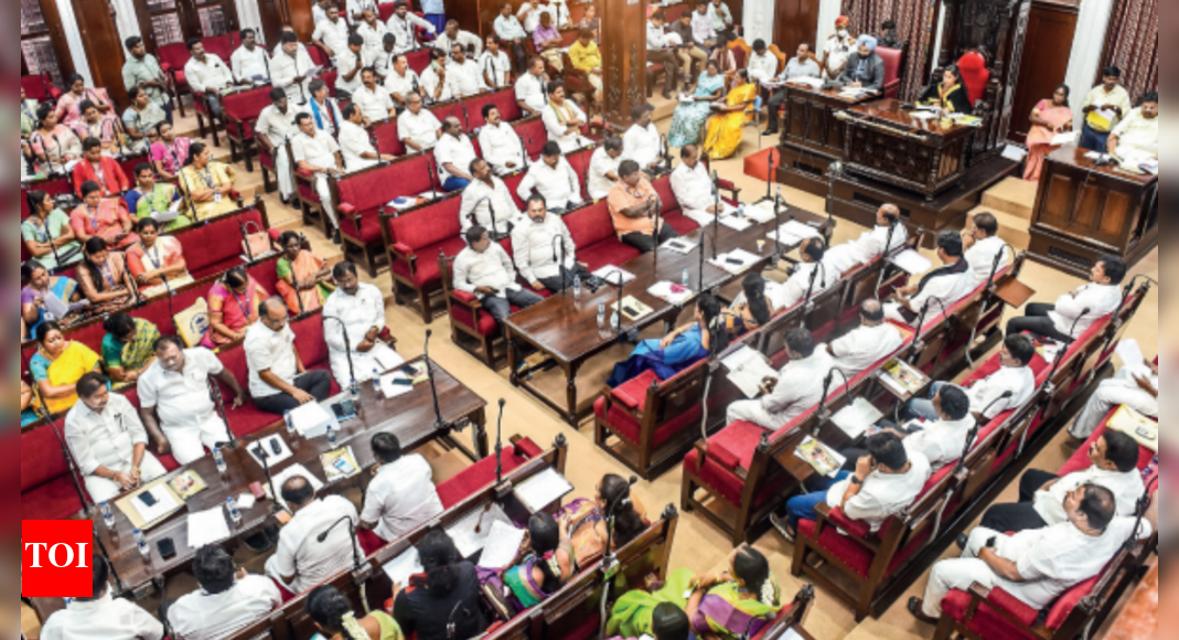 Greater Chennai Corporation Budget: No one’s asking the citizens what ...