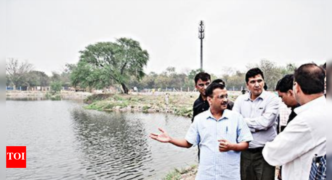 No waste: 26 lakes in Delhi being revamped with STP water | Delhi News ...