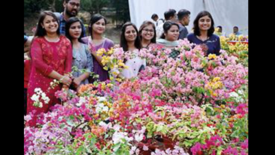 Bougainvillea festival begins at National Botanical Research Institute ...
