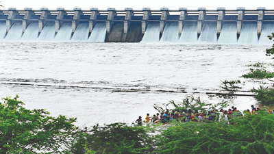 Holi: Bajoli-holi Tunnel Leak Plugged; Geological Survey Done: Hp Govt ...