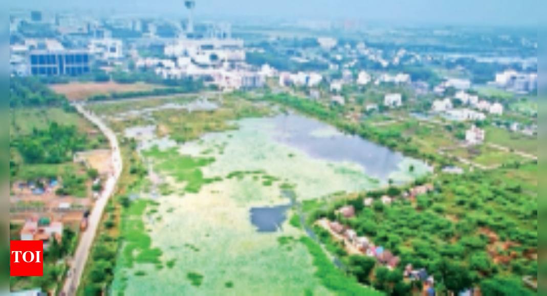 Giving a blue-green push to SIPCOT industrial parks | Chennai News ...