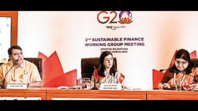 G20 fin working group meet in Udaipur today | Udaipur News - Times of India