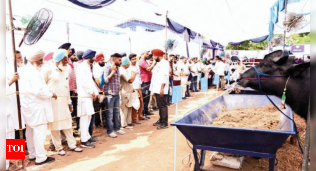 Pau: City’s 2 Farm Melas To Start Friday | Ludhiana News - Times of India
