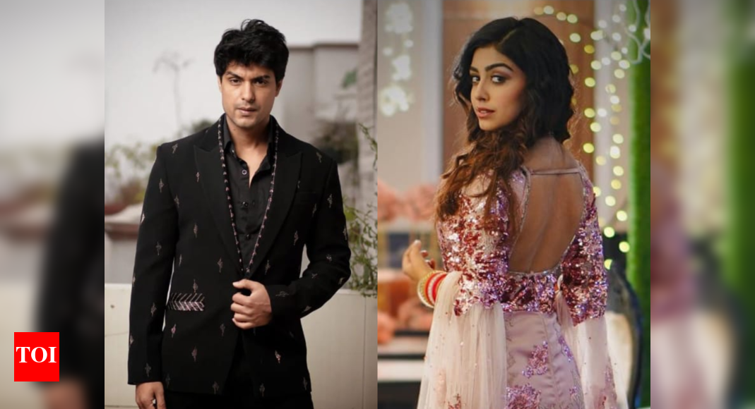 Netizens troll the makers for bringing Ankit Gupta and Twinkle Arora ...