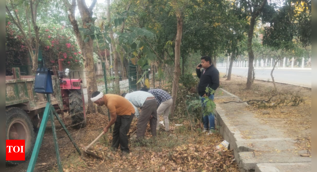 Drains clogged, garbage on road & mini pond, that’s how Noida looks ...