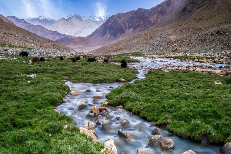 Nubra Valley – an incredibly beautiful cold desert | Times of India Travel