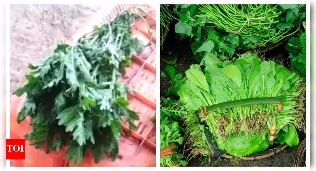 Viral: 'Magical' chemical brings to life wilted dhania leaves posing ...