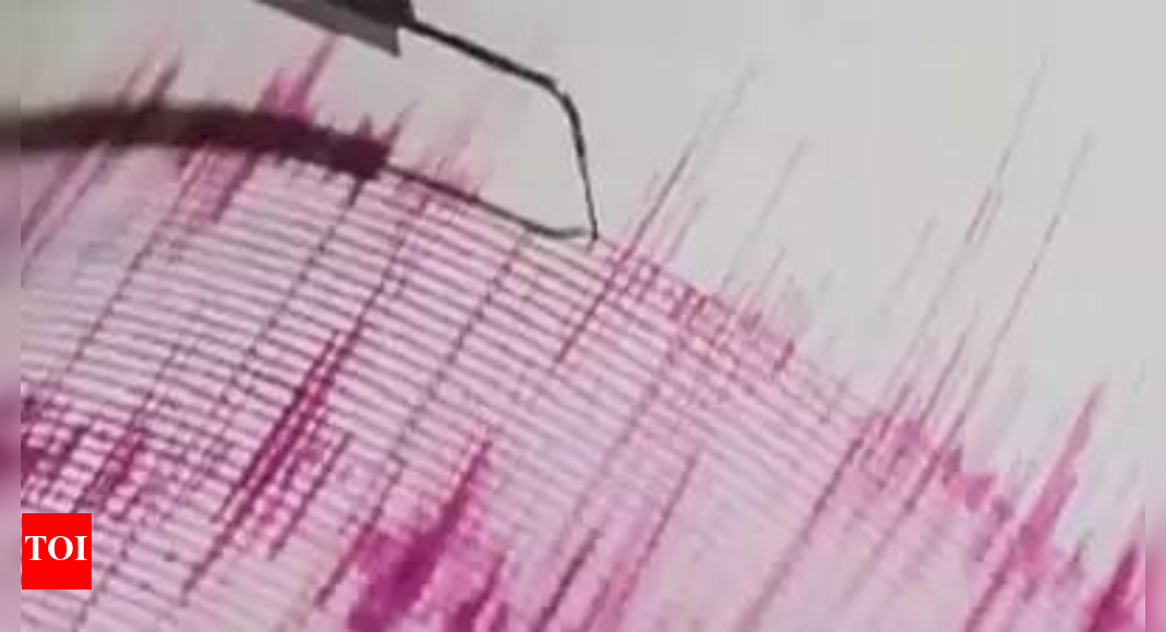 Magnitude 2.7 earthquake hits Delhi | Delhi News - Times of India