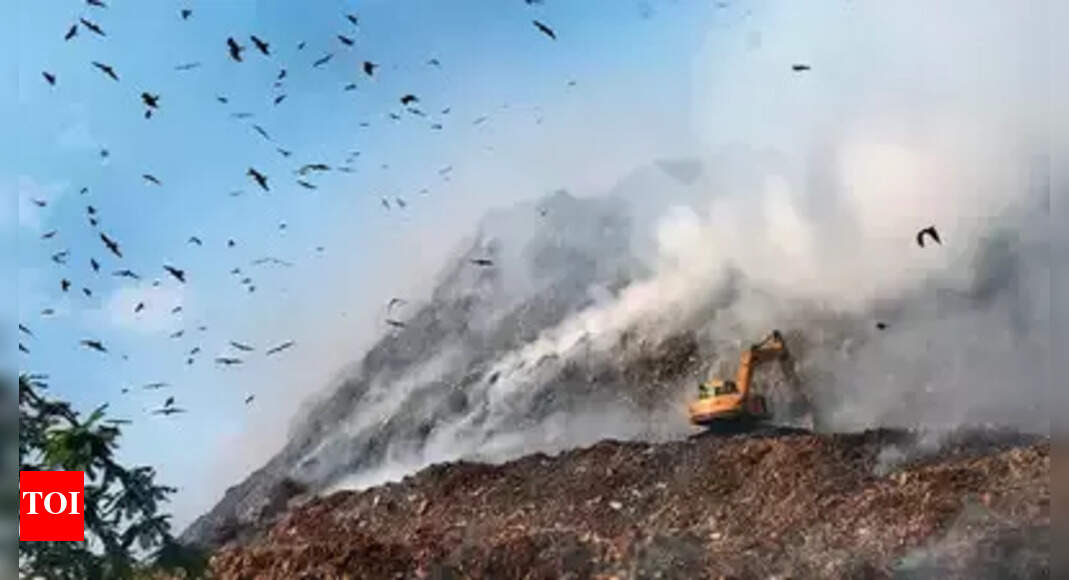 8. Will trash mountains give way to a ‘beautiful Delhi’? - Times of India