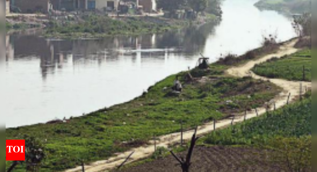 Come Up With Action Plan To Clear Floodplains, Noida Told | Noida News ...