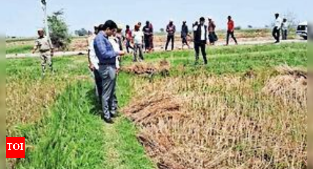 Crops Of Over 10,000 Farmers Destroyed In Unseasonal Rain | Allahabad ...