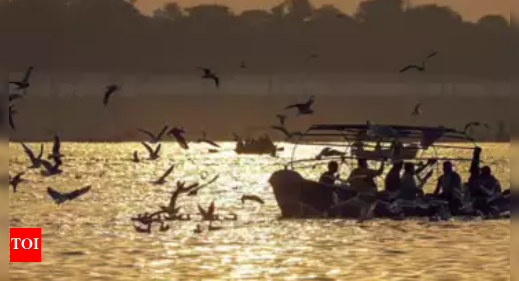 63% of waterbodies in Yamuna floodplain dry: Report | Delhi News - The ...