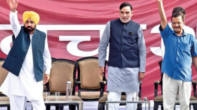 AAP sounds 2024 LS poll bugle with protest rally | Delhi News - Times ...