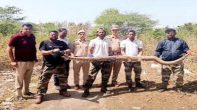 Wildlife Rescue Squad: Python Found In It Park | Chandigarh News ...