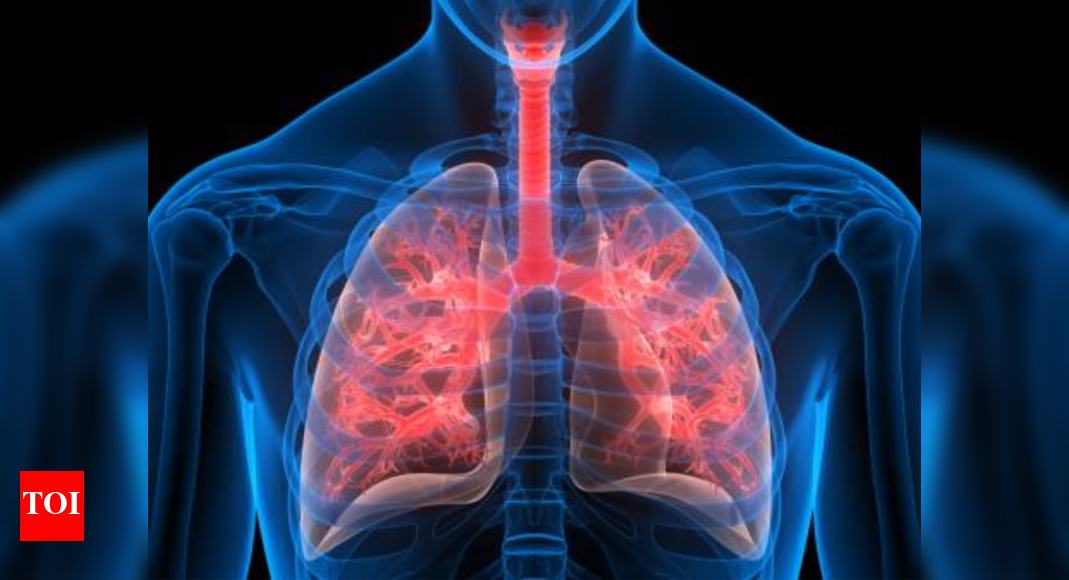 In India, we have about 3.1 million tuberculosis patients: Key signs to ...