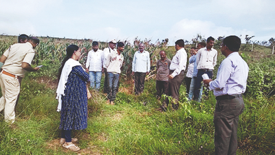 Panchayat: Nigadi Village Bags Award For Water Conservation Plan ...