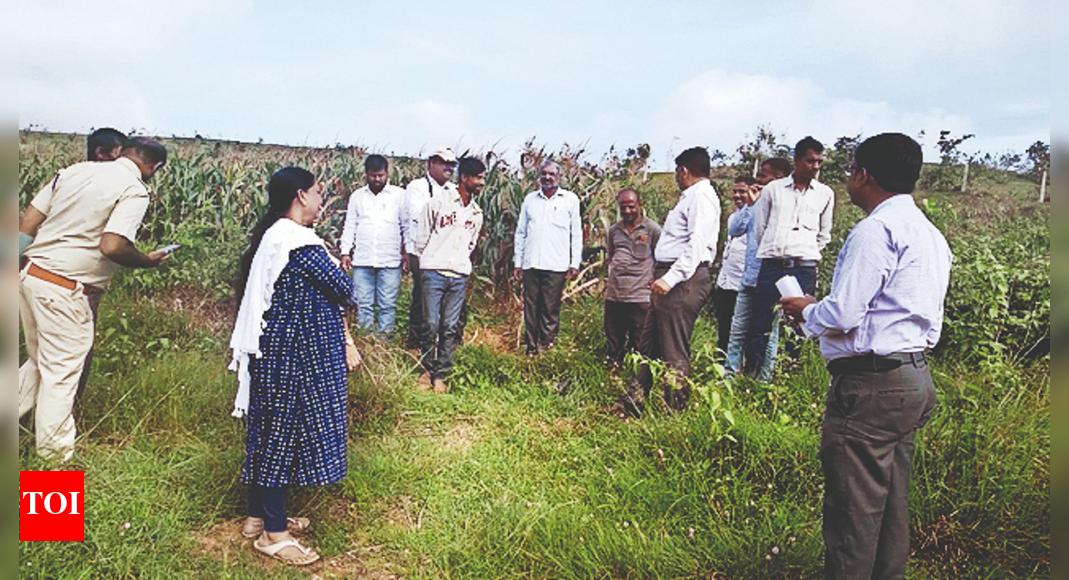 Panchayat: Nigadi Village Bags Award For Water Conservation Plan ...