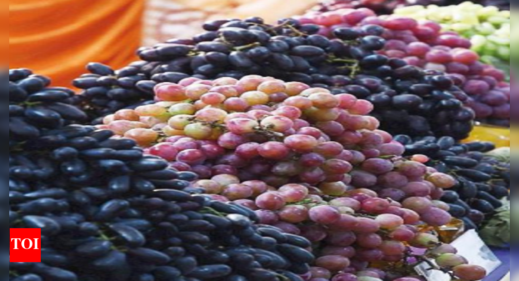 Unseasonal Rain: It’s A Tale Of Sour Grapes For Farmers In V’pura ...
