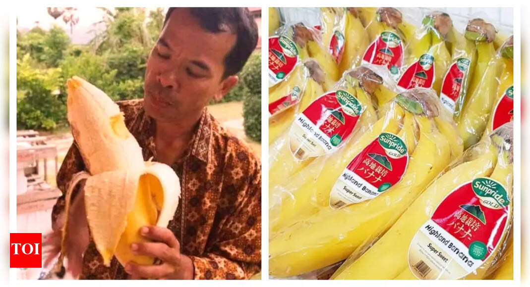 World’s largest Banana is bigger than a human arm, video inside - Times ...