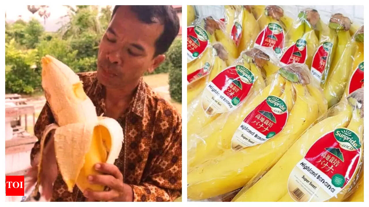 Worlds Largest Banana