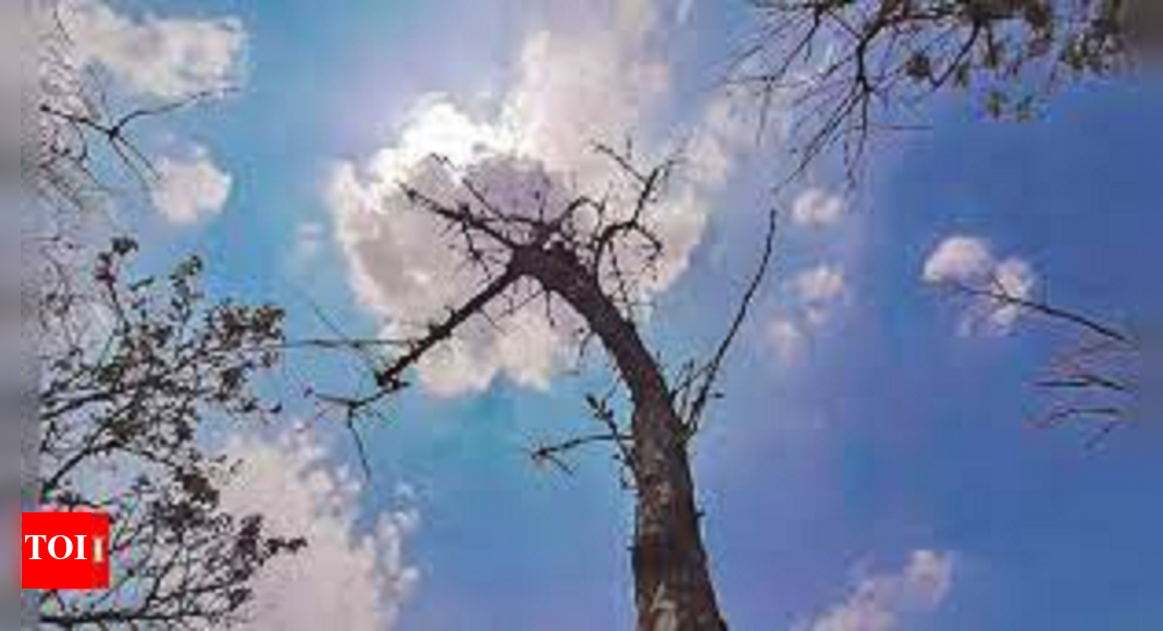 Temperatures set to rise from today in Gujarat | Ahmedabad News - Times ...