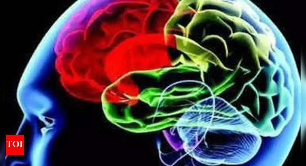 'Prompt treatment of brain injury can save many lives' | Patna News ...
