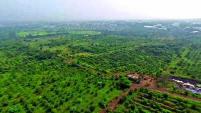 Greens see red as BJP MLA seeks 825 acres for industries in Nashik ...