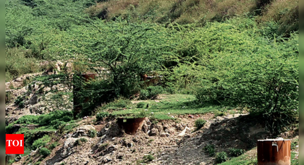 Stuck for 3 years, PM scheme funds elude Chilla elevated road project ...