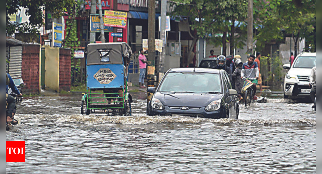 Conservationists Express Concern Over Deforestation, Floods | Guwahati ...