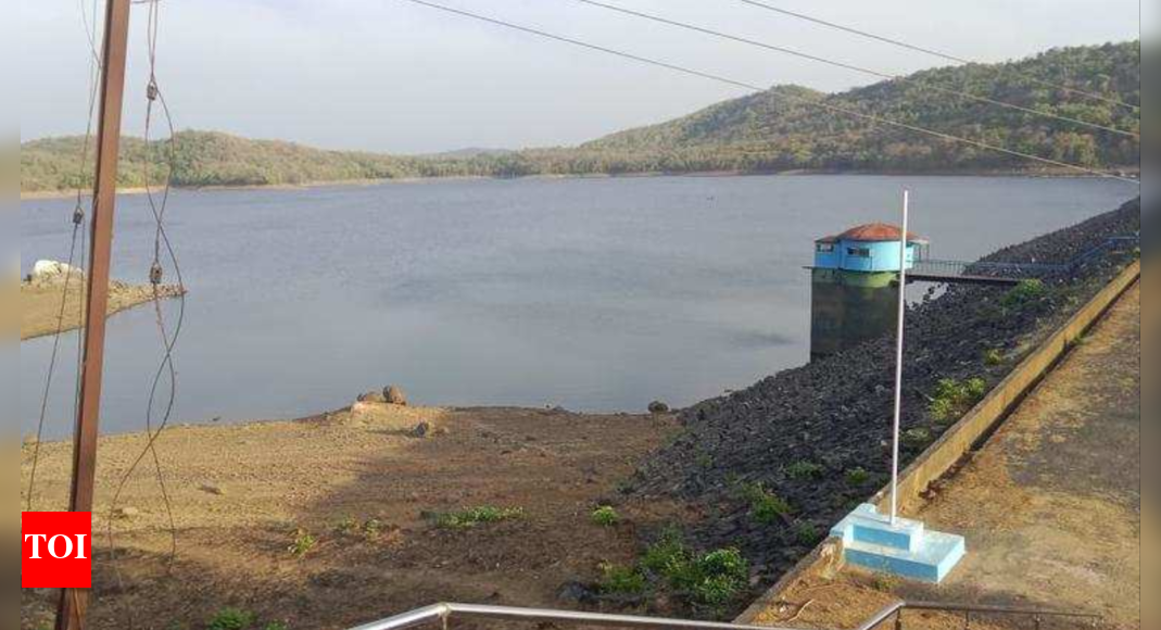 ‘Chapoli dam water will suffice till June’ | Goa News - Times of India
