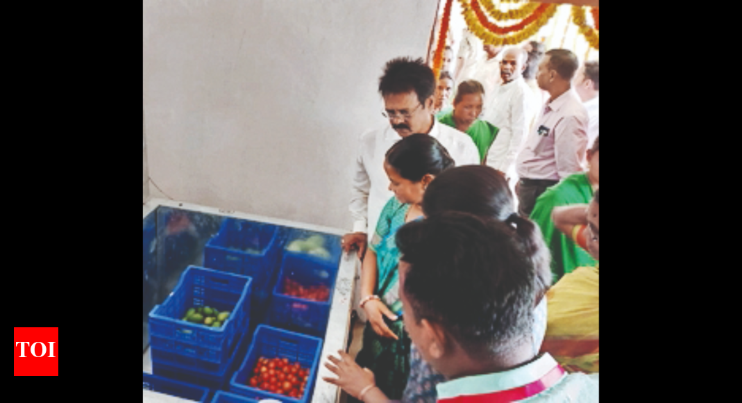Gajapati: Gajapati Admn Installs 3 Cold Chambers For Storing Veggies ...