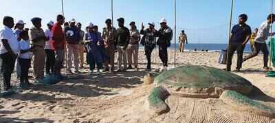 Vengurla’s Turtle Fest showcases conservation efforts by locals | Goa ...