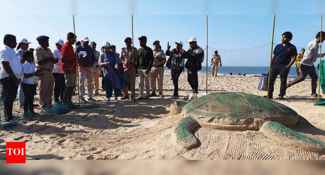 Vengurla’s Turtle Fest showcases conservation efforts by locals | Goa ...