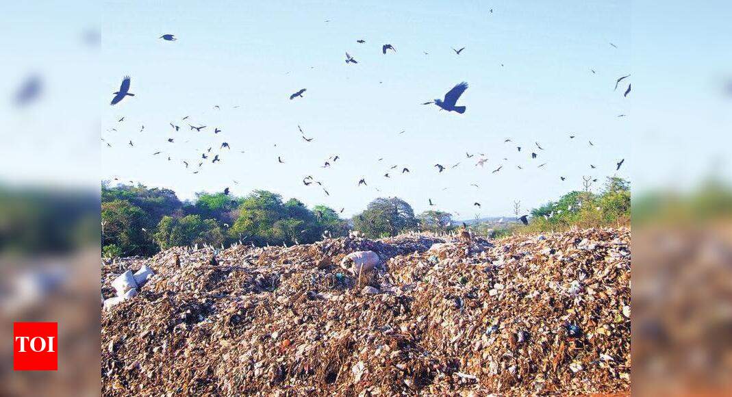 Margao Council to float tender to clear Sonsoddo wet waste | Goa News ...