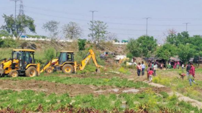 Acres of crop cleared on floodplain in Delhi, farmers distraught ...