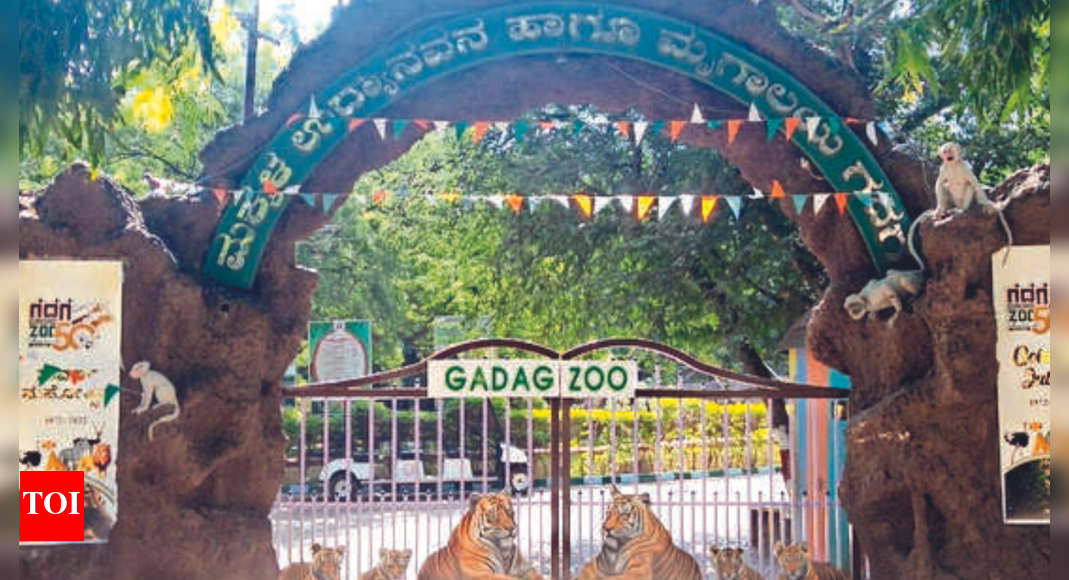 Staff crunch: Gadag zoo will soon start volunteer programme | Hubballi ...
