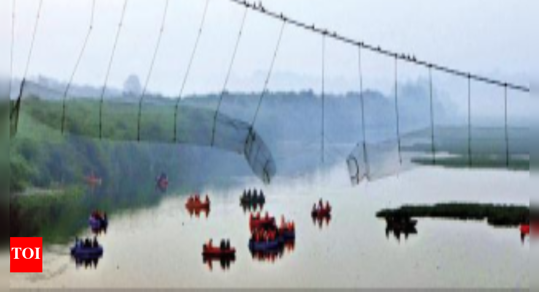 Gujarat: Oreva deposits 50% of interim compensation | Ahmedabad News ...