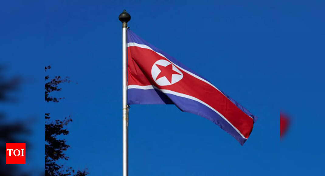 Korea North Korea Unveils New Nuclear Warheads As Us Air Carrier