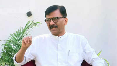 'All is well, no worries', says Sanjay Raut after meeting Sonia, Rahul Gandhi | India News ...