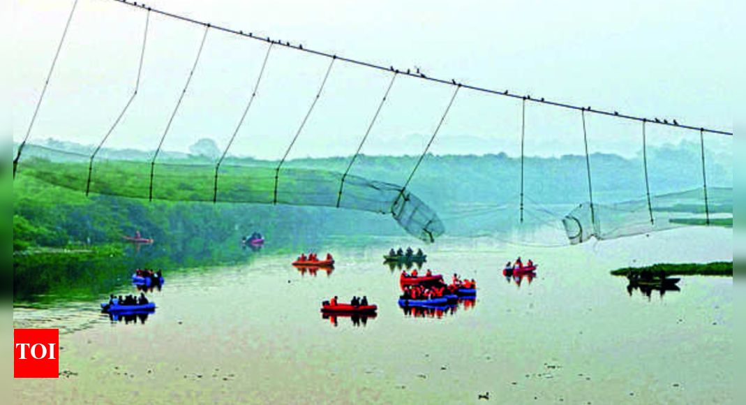 Oreva CMD Jaysukh Patel says bridge reopening was no secret | Ahmedabad ...